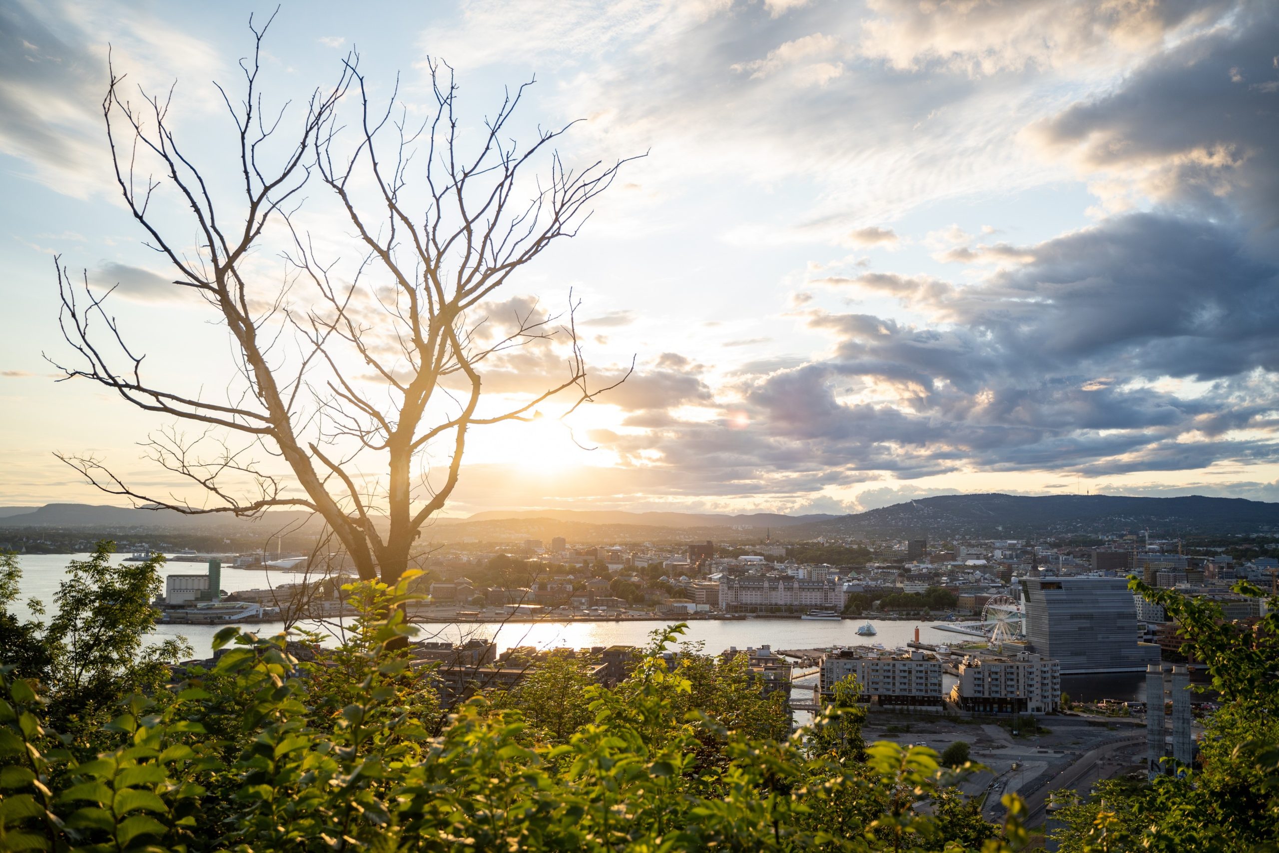 Oslo's approach to the climate budget
